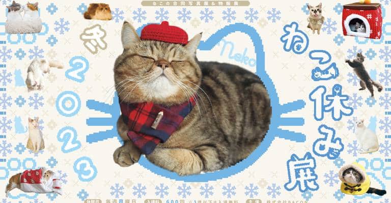 Cat Holiday Exhibition Winter 2026, Late Jan–Late Feb 2026, 2026 ...