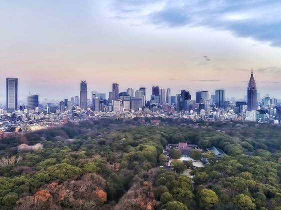 Anime Tours: The World of Your Name, Makoto Shinkai, and More | Tokyo ...