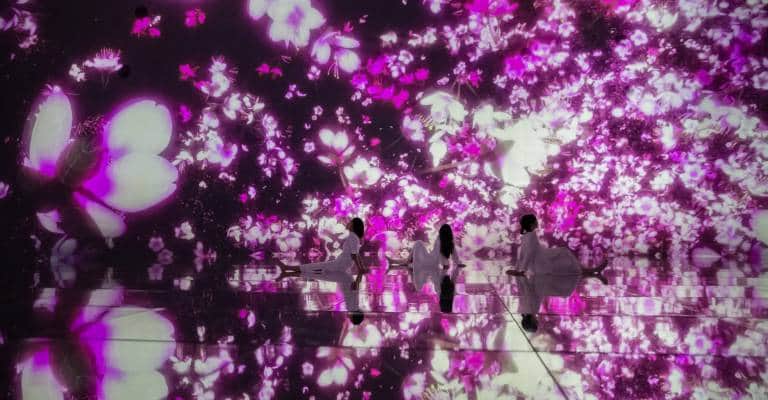 Cherry Blossoms at teamLab Planets Tokyo, Early Mar–Late Apr 2026, 2026 ...