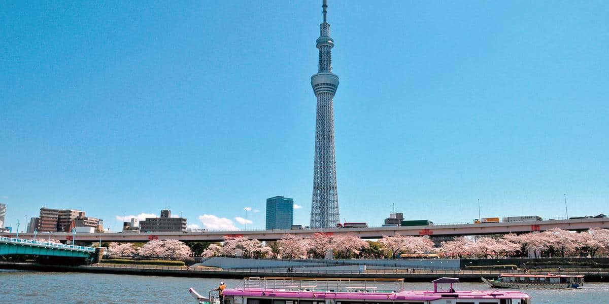 Sumida River Senbonzakura Cruise, Mar 19, 2023 | Tokyo Cheapo