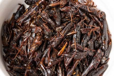 What's All the Buzz About? Eating Insects in Japan | Tokyo Cheapo