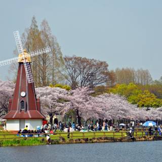 Ukima Park Cherry Blossom and Tulip Illumination, Late Mar–Late Apr ...