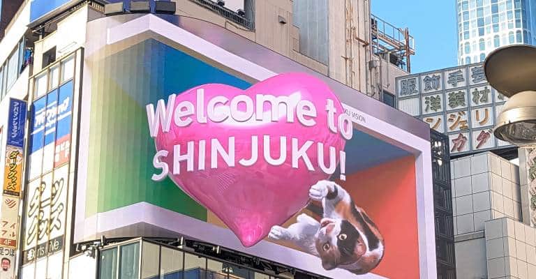 3D Cat Billboard | Tokyo Cheapo