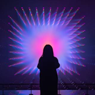 Best Tokyo Museums & Art Galleries Mega Guide | Tokyo Cheapo