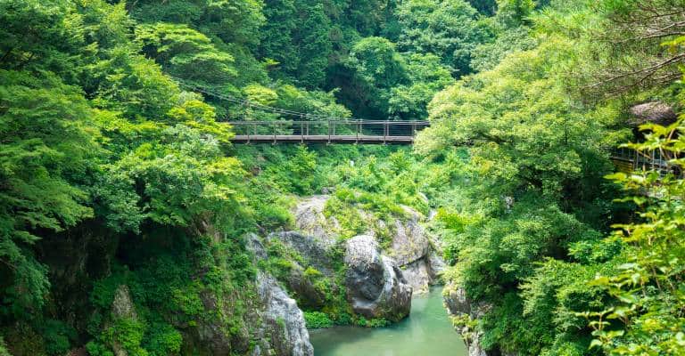 Hatonosu Canyon | Tokyo Cheapo