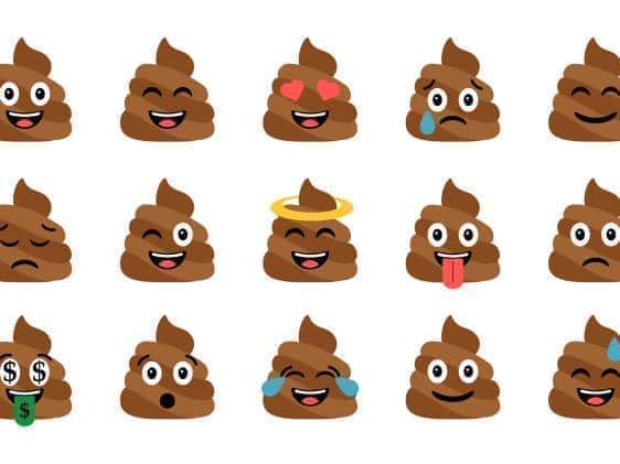 Poop-Covered Products Exhibition, Nov 16–Nov 17, 2024 | Tokyo Cheapo