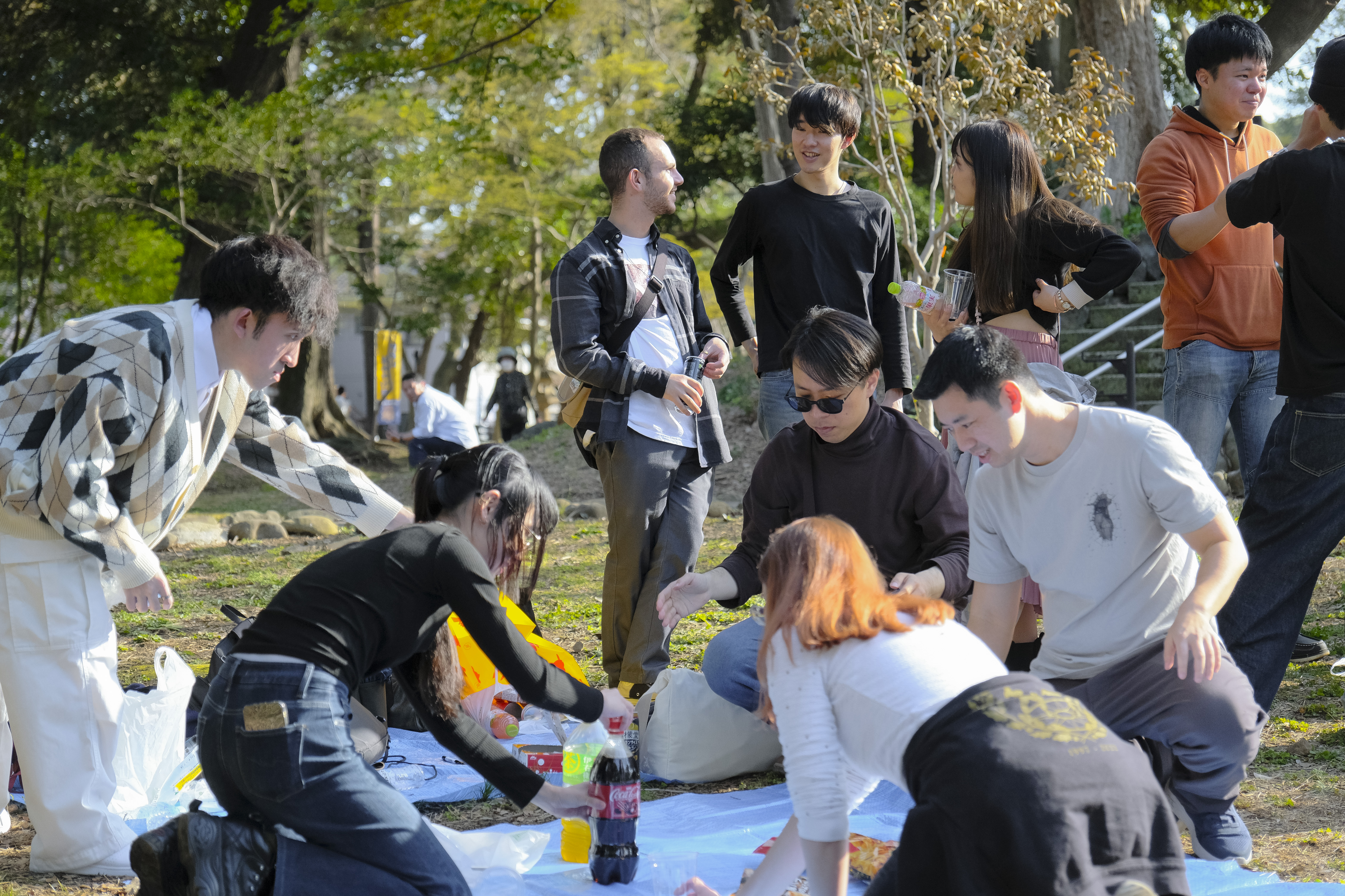 Hanami BYOB Picnic in Tokyo, Apr 5, 2025 | Tokyo Cheapo