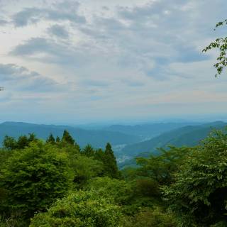 Full Guide to Mt. Mitake: Stunning Nature and a Shinto Village | Tokyo ...