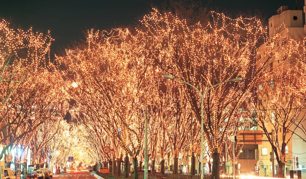 Sendai Pageant of Starlight, 18th Dec–31st Dec, 2021 | Japan Cheapo