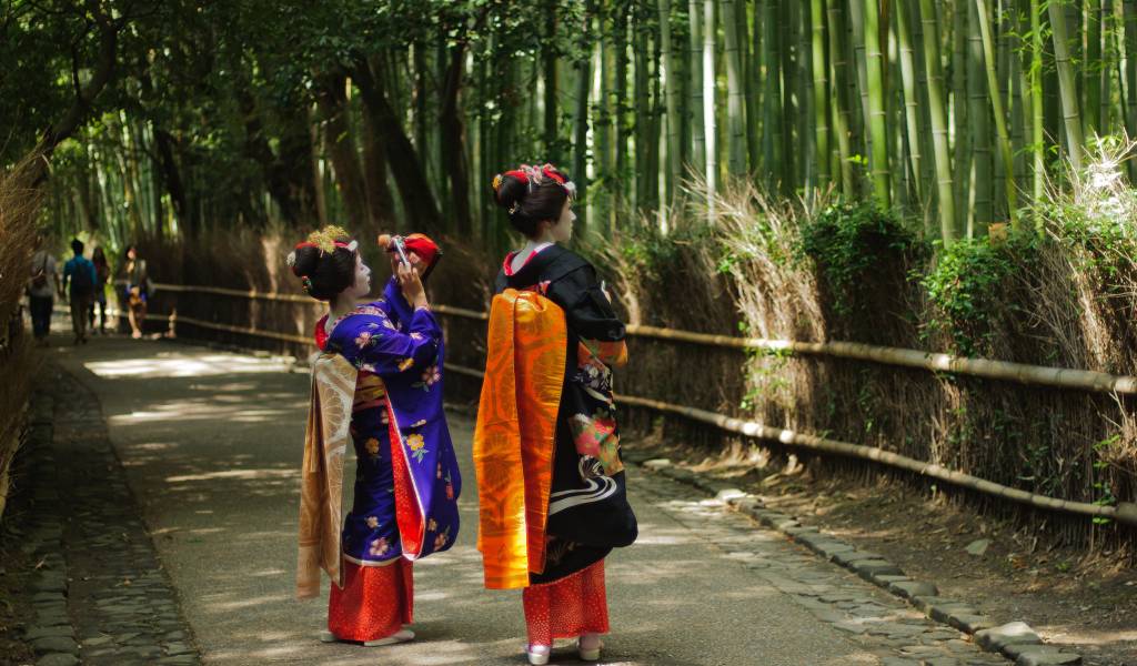 Wander Through Kyoto's Iconic Bamboo Forest | Japan Cheapo