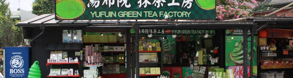 Yufuin Green Tea Factory | Japan Cheapo
