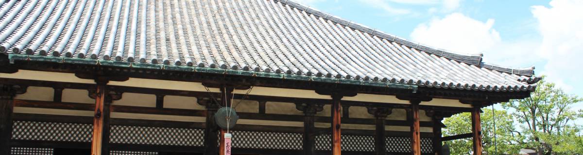Stumbling into Nara's Past: Gangoji Temple and the Edo-Period Charm of ...