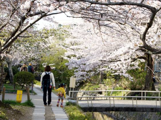 The Philosopher's Path in Kyoto: A Stroll for the Soul | Japan Cheapo