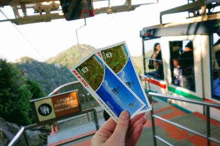 Miyajima Guide: Things to Do and Where to Visit | Japan Cheapo