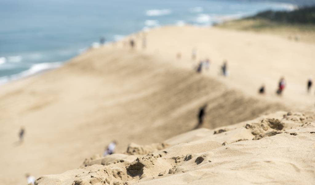 Desert Adventures: Visiting Japan's Tottori Sand Dunes | Japan Cheapo