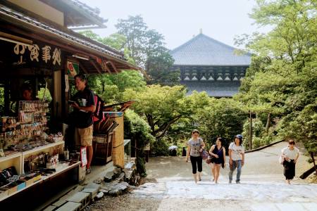 Top Things to Do in Nara for the Perfect Day Trip | Japan Cheapo