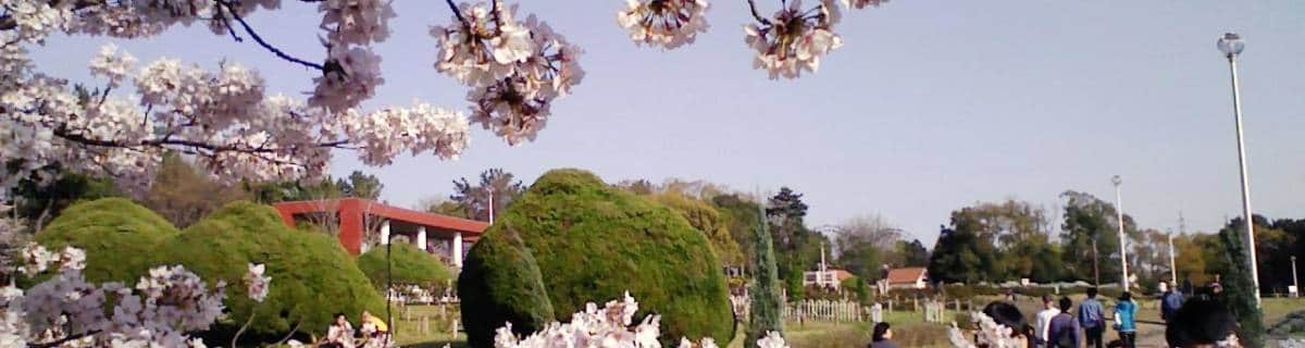 Hattori Ryokuchi Park | Japan Cheapo