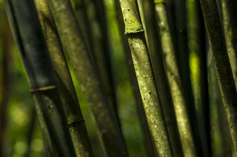 Spiritual Japan: 5 Ways to Nuture Your Soul | Japan Cheapo