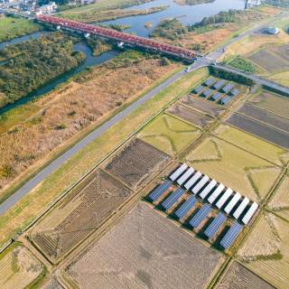 Tanbo Art, Early Jun–Mid Oct, 2026 | Japan Cheapo