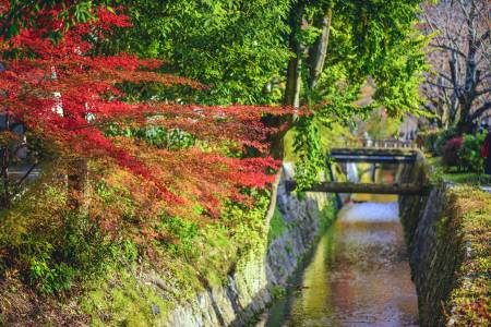 The Philosopher's Path in Kyoto: A Stroll for the Soul | Japan Cheapo