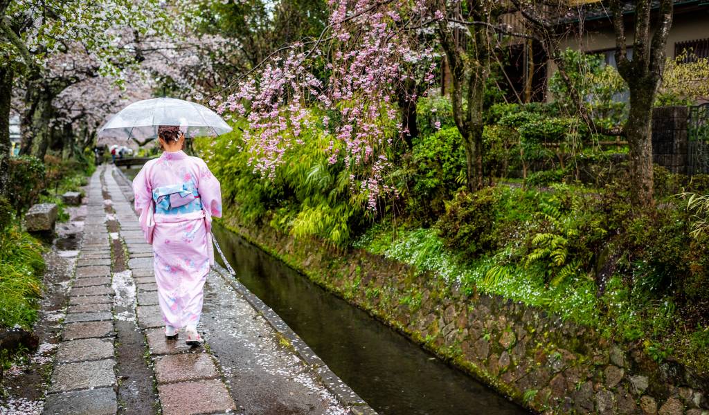 The Philosopher's Path in Kyoto: A Stroll for the Soul | Japan Cheapo