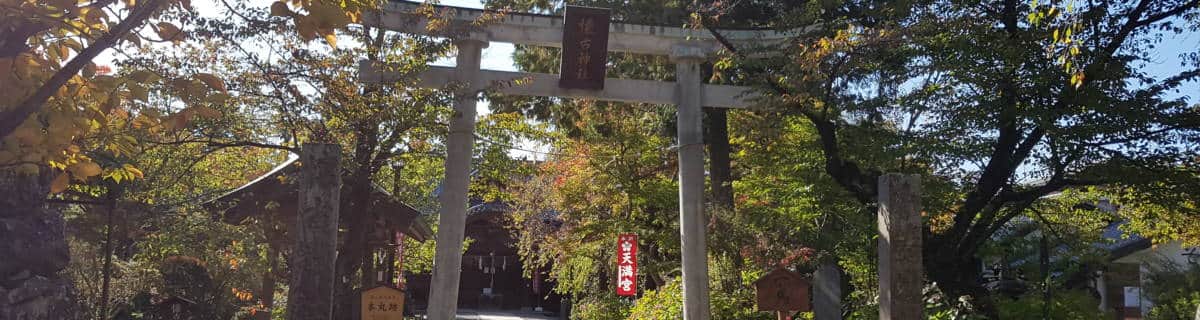 Visit Nagano's Komoro City For Soba, Onsen and Castle Ruins | Japan Cheapo