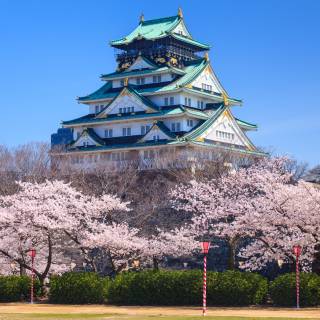 Osaka Castle Spring Festival, Mid Mar–Mid May 2026, 2026 | Japan Cheapo