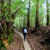 Hiking in Hiroshima: A Day Trip to Sandankyo Gorge | Japan Cheapo