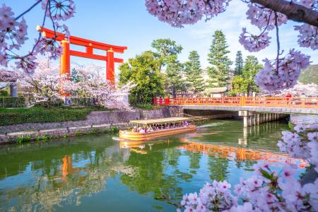 Kyoto Cherry Blossoms: 16 Best Sakura Spots | Japan Cheapo