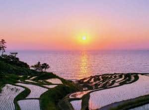 Shiroyone Senmaida Rice Terrace | Japan Cheapo