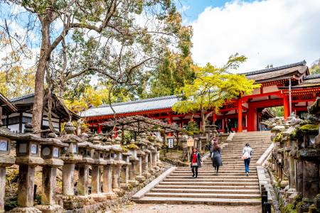 Top Things to Do in Nara for the Perfect Day Trip | Japan Cheapo