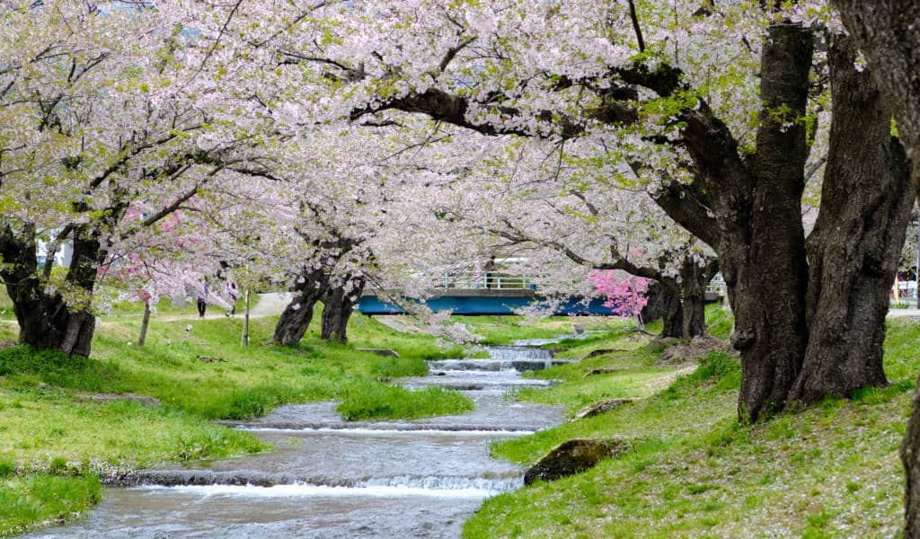 Fukushima Guide | Japan Cheapo