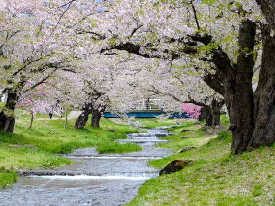 Fukushima Guide | Japan Cheapo