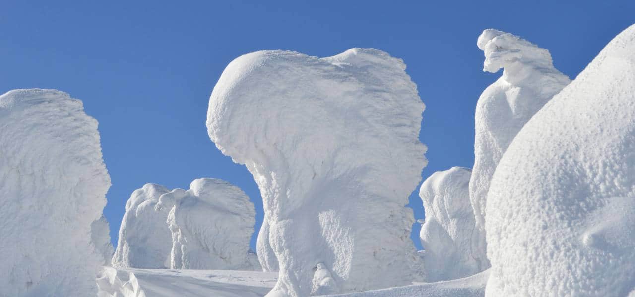 Zao Snow Monsters | Japan Cheapo