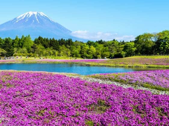 Yamanashi Area Guide | Japan Cheapo