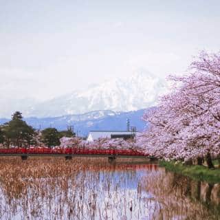 Niigata Guide | Japan Cheapo