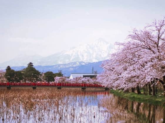 Niigata Guide | Japan Cheapo