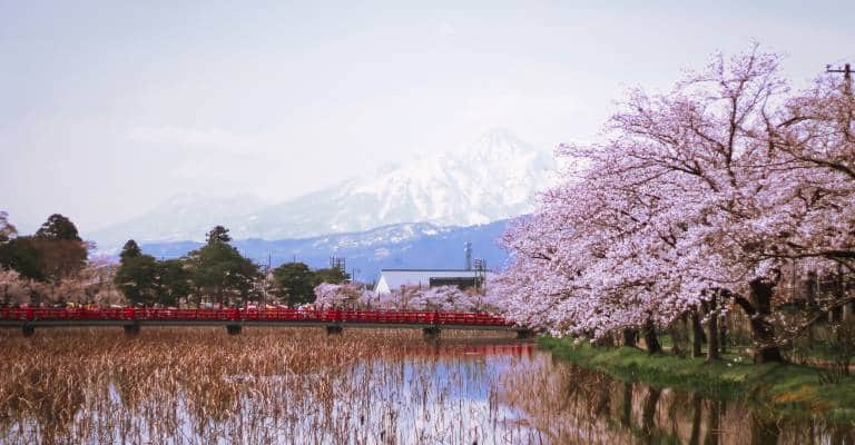Niigata Guide | Japan Cheapo