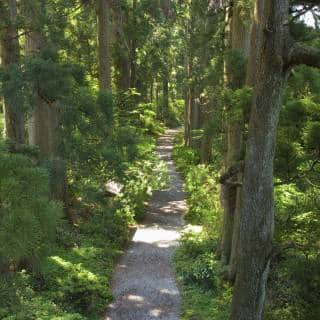 Old Tokaido Road Guide: Hiking from Tokyo to Kyoto | Japan Cheapo