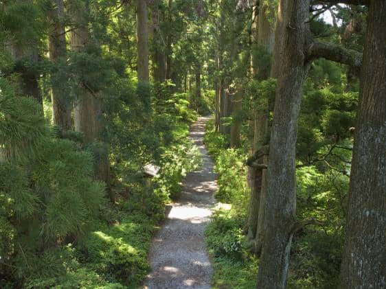 Old Tokaido Road Guide: Hiking from Tokyo to Kyoto | Japan Cheapo