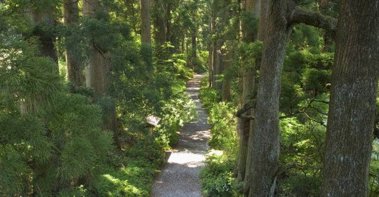 Old Tokaido Road Guide: Hiking from Tokyo to Kyoto | Japan Cheapo