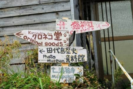 Tashirojima: A Guide to Visiting Japan's Most Famous Cat Island | Japan ...
