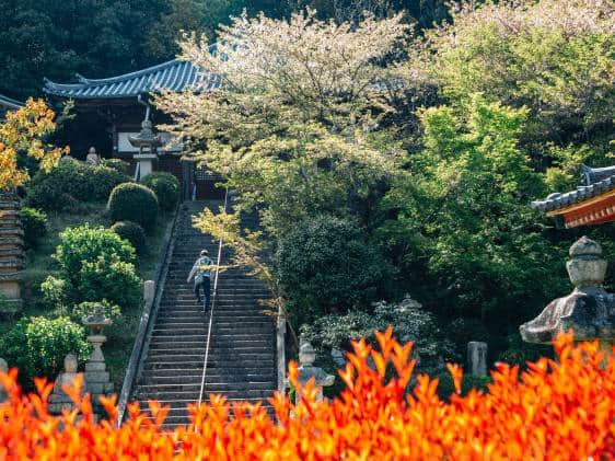 Shikoku Pilgrimage: A Guide to the Sacred 88-Temple Route | Japan Cheapo