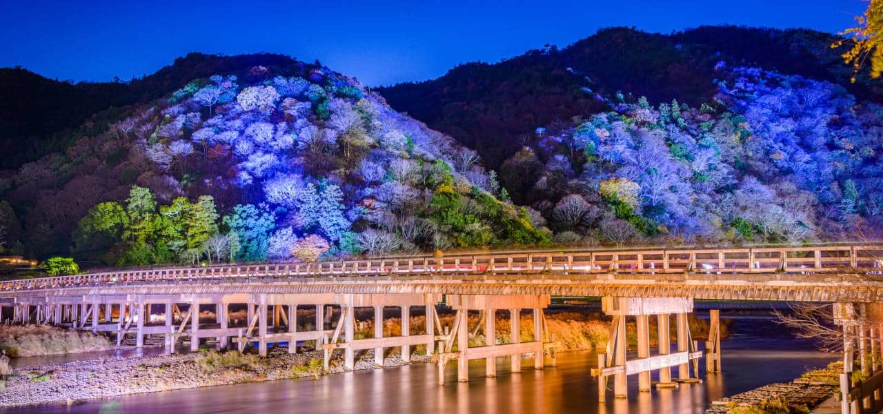 Top 5 Picks for Kyoto Winter Illuminations 2020–21 | Japan Cheapo