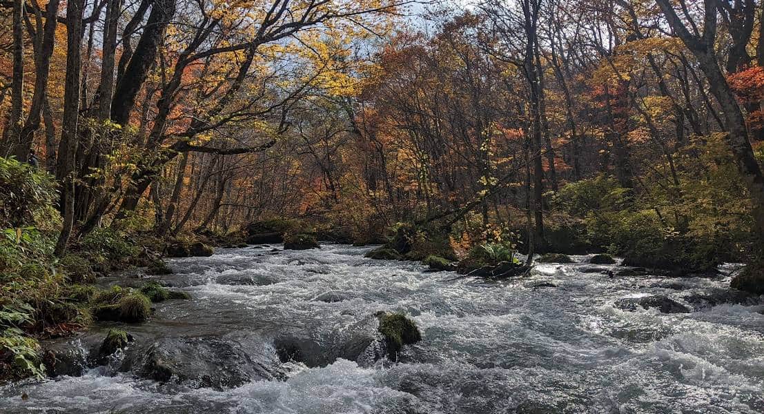 Oirase Gorge | Japan Cheapo