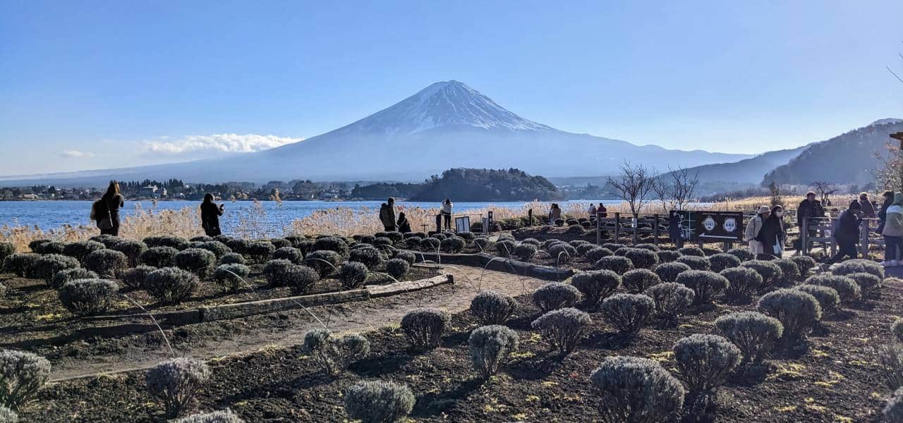 Oishi Park | Japan Cheapo
