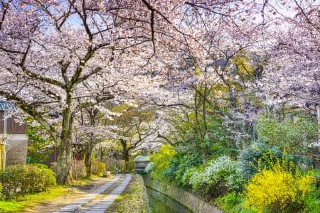 The Complete Guide to Getting Around in Kyoto | Japan Cheapo