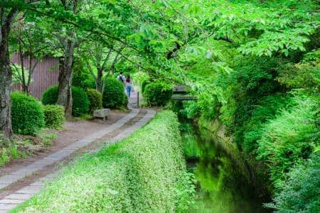 The Philosopher's Path in Kyoto: A Stroll for the Soul | Japan Cheapo