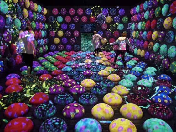 teamLab Forest Fukuoka | Japan Cheapo