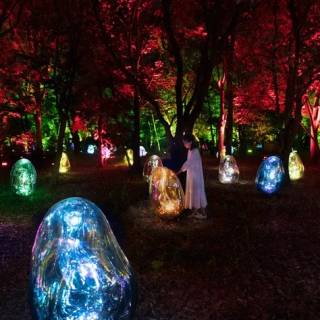 Lose yourself at teamlab Botanical Garden Osaka | Japan Cheapo